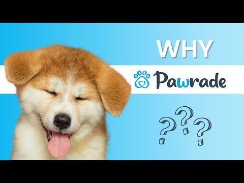 Why Choose Pawrade?