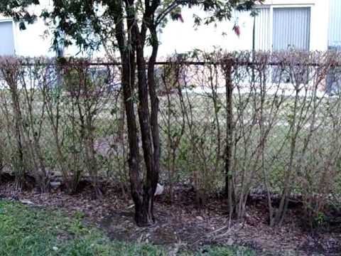 Section 8 Plan Ocho 3/2.5 townhome rental, Homestead Florida