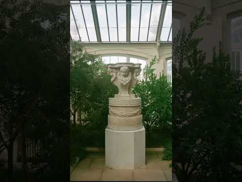 Analog photos in Kew Gardens ✷ Palm House, Temperate House, Waterlily House