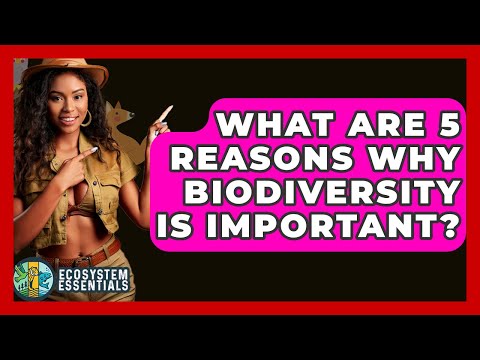 What Are 5 Reasons Why Biodiversity Is Important? - Ecosystem Essentials