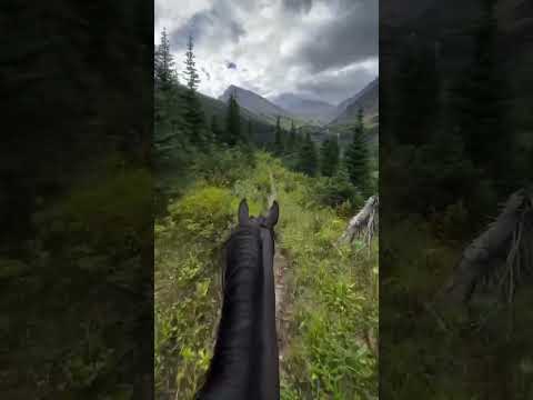 Horseback Journey Through the Mountains | Nature of Kyrgyzstan⛰️⛰️????????