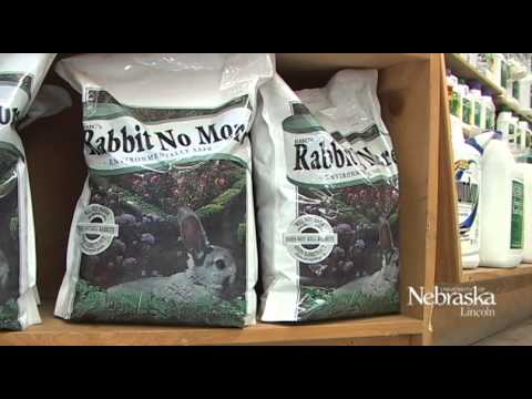 Gardening - Backyard Farmer -Rabbit Control