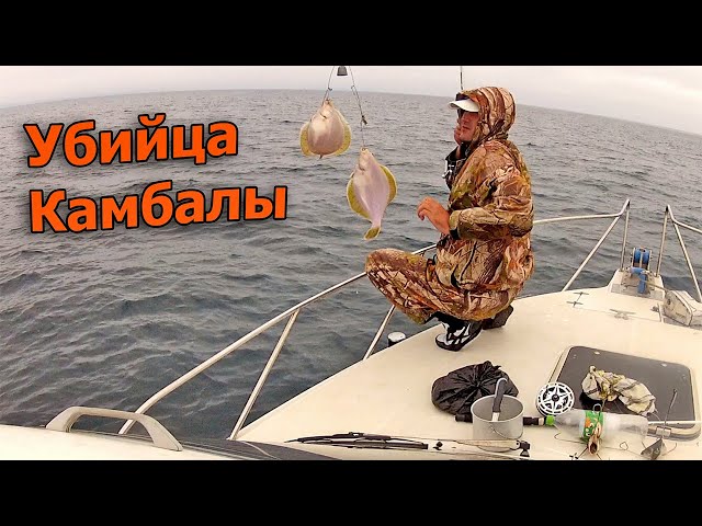 Снасти Для Ловли Камбалы На Донку