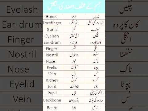 English words with the Urdu meanings about different parts of body#vocabulary#used#sentences#english