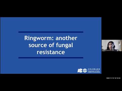 The Rise of Antimicrobial Resistance