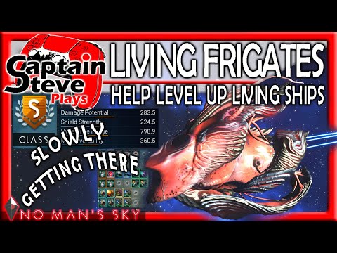 No Man's Sky Endurance Living Frigates Missions To Upgrade Organic Ships Captain Steve NMS Guide