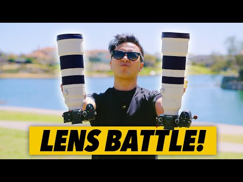 Sony 400-800mm vs Sony 200-600mm | Which Telephoto Lens Should You Get?