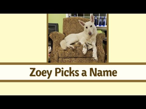 Zoey Picks a Name