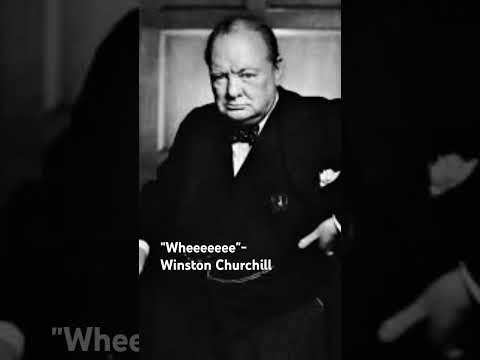 wise words Winston wise words #meme #quotes