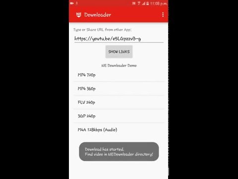 NE Downloader Demo