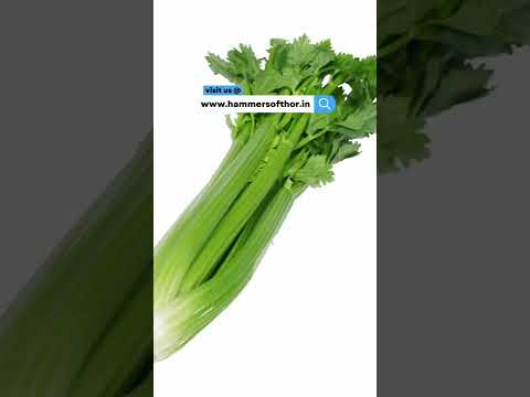 Celery Is Highly Beneficial In Increasing Your Sex Drive | Hammer of Thor Capsule