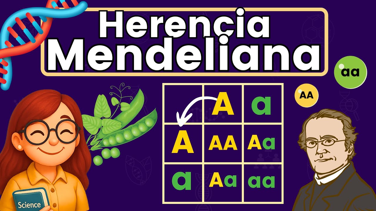 Mendelian Inheritance (Mendel's Laws) 🧬🫛