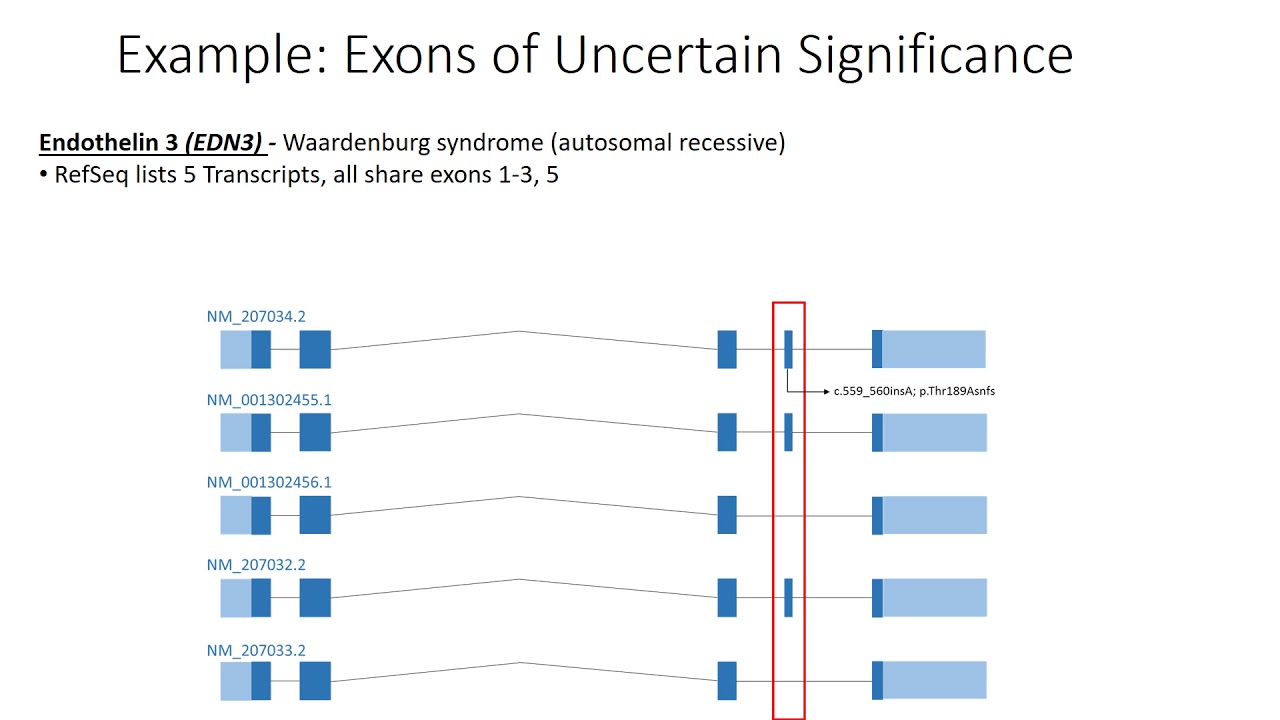 Transcript Overview Part 3: Transcript Curation Resources