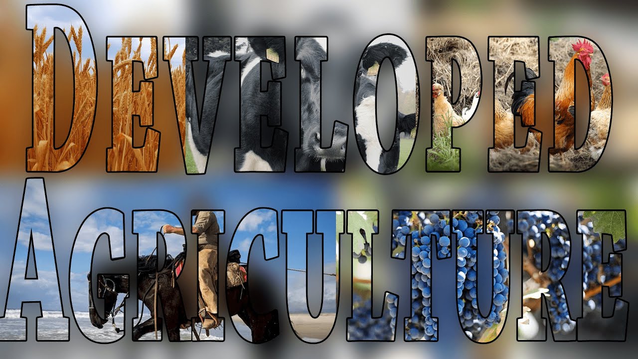 Five Types of Commercial Agriculture [AP Human Geography: Unit 5 Topics 1 & 10]