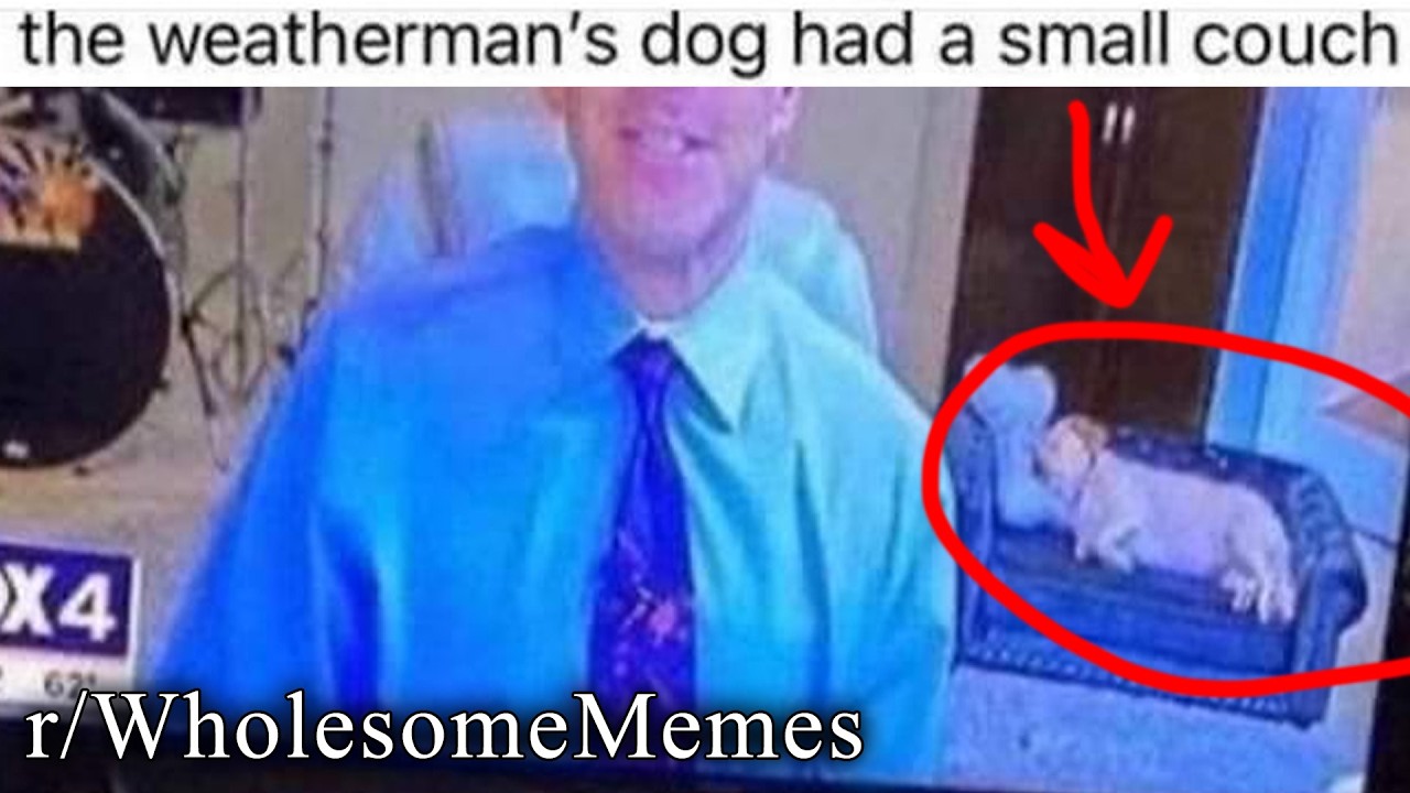 extremely wholesome reddit