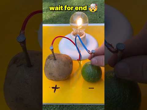 Potato and Lemon Battery | DIY Experiment #youtube #shorts