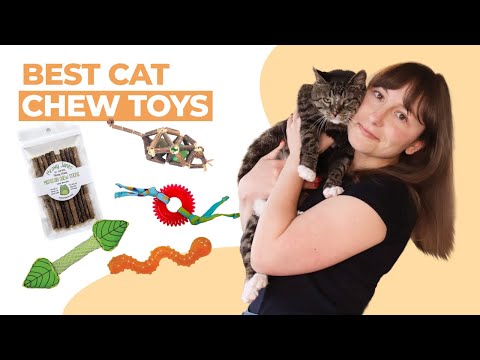 The Best Chew Toys For Cats