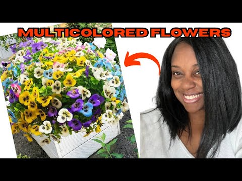 Amazon Review:Thinktral Multicolored Artificial Flowers