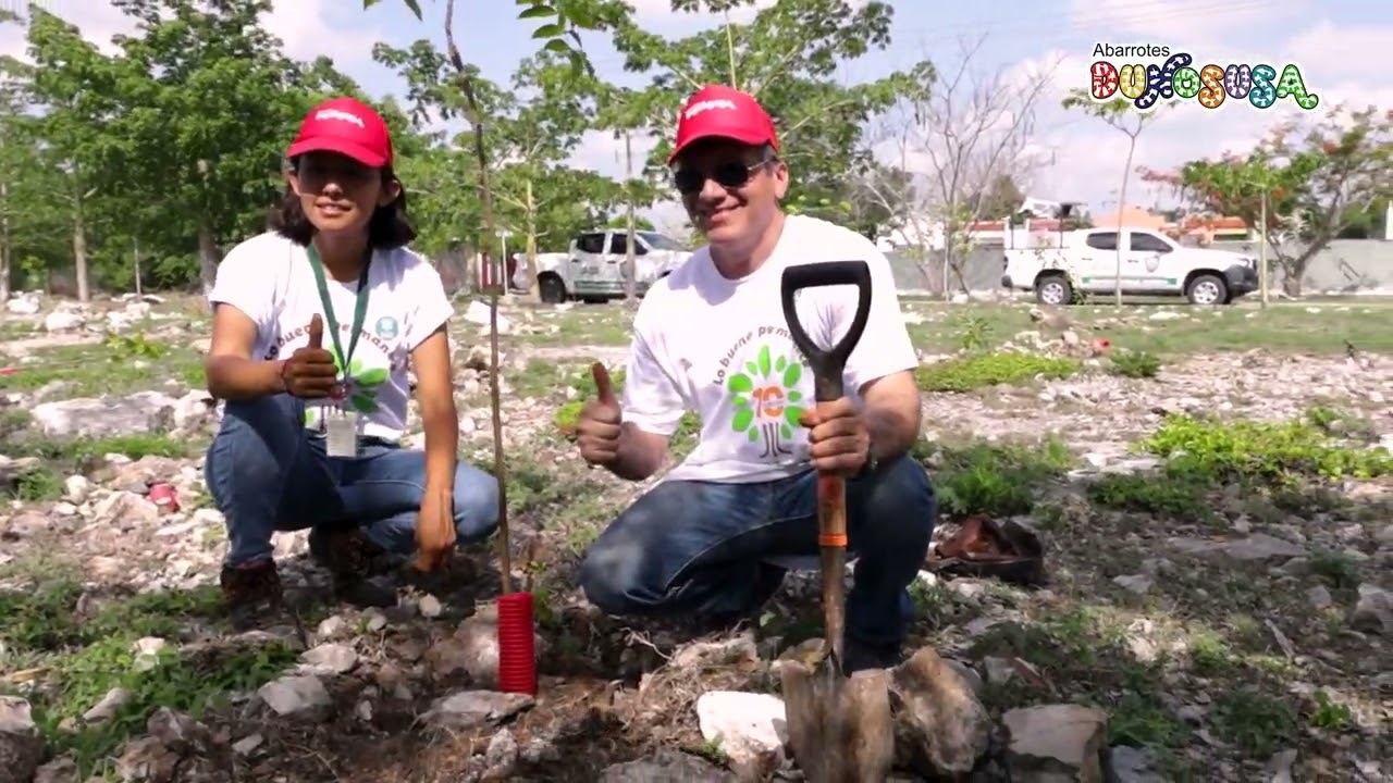 PR1MERO EL PLANETA- DÍA VERDE CEMEX PLANTA MERIDA CRUZADA FORESTAL 2023