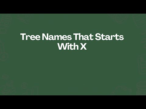 Tree Names That Starts With X