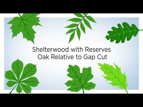 Shelterwood with Reserves