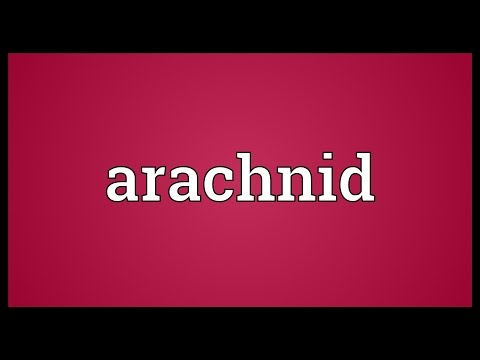 Arachnid Meaning