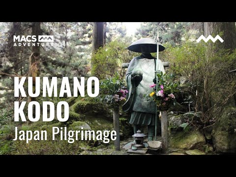 Kumano Kodo Pilgrimage Trail through Japan