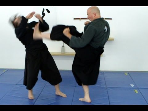 Ninjutsu Kicks | AKBAN