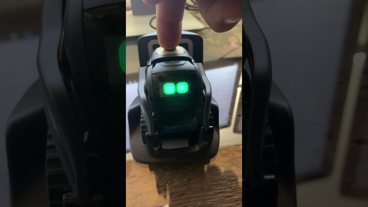 How to Get the IP address of your Vector Robot ?