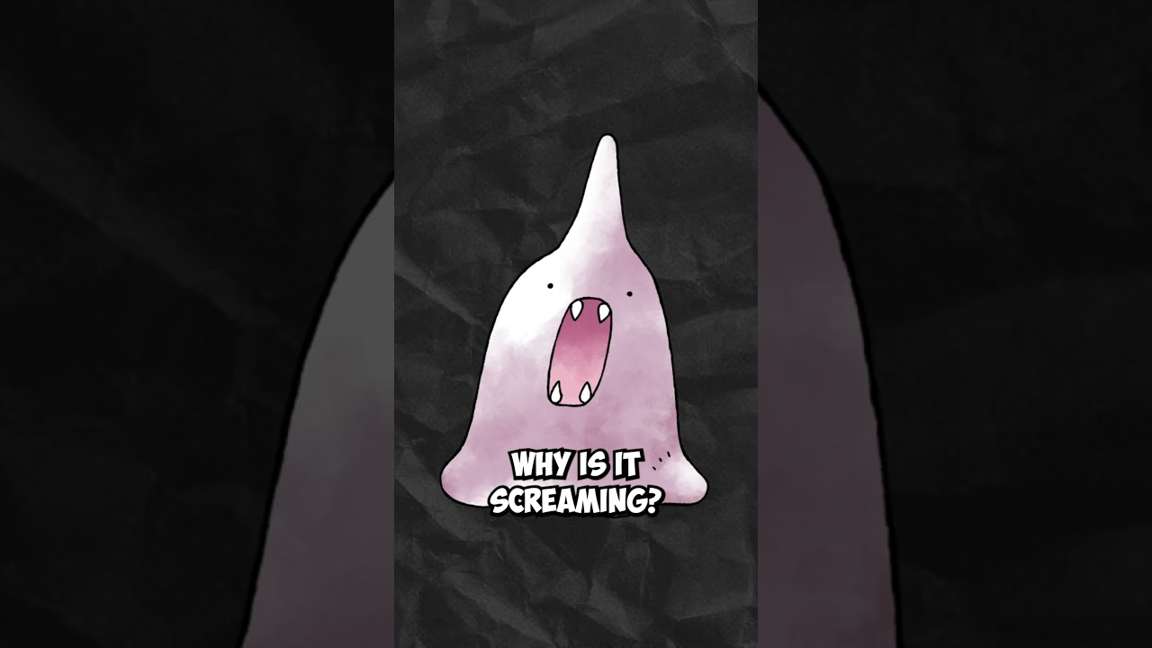 Ditto's Canceled Evolution??