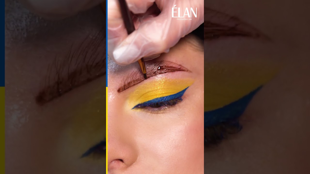 Eyebrow Lamination with Elan Supersonic + Smart Brow Tint