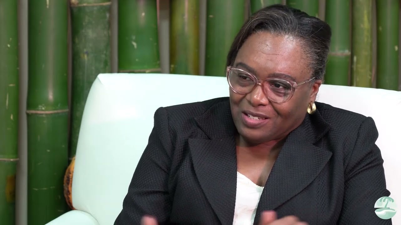STC 2024: Dr. Deborah Brown, Disaster Recovery Specialist, CDEMA ...