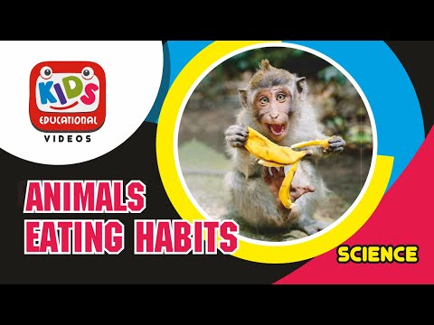 Feeding Habits of Animals | CBSE Class 3 Science | Kids Educational Videos