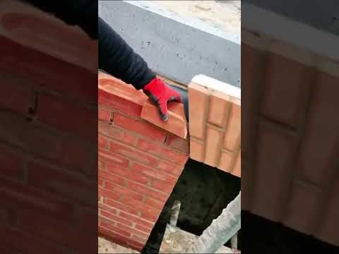AMAZING VIDEO #593 | #SHORTS
