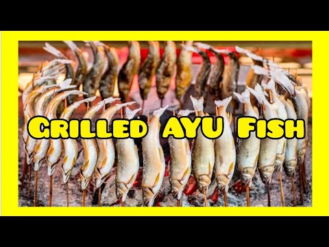 Fresh Ayu Japanese Grilled fish with stunning river view