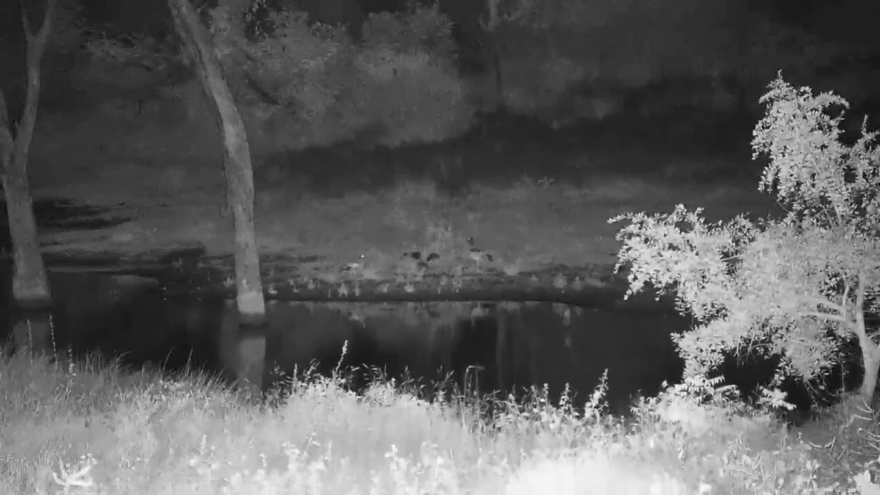 60+ Live Webcams for Virtual Office Backgrounds ...