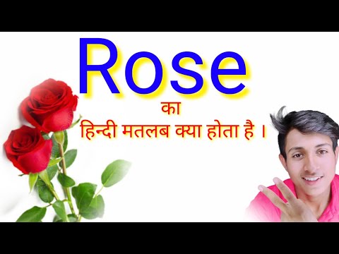 Rose meaning in hindi /🌹 || Rose ka matlab kya hota hain 7 February specal day