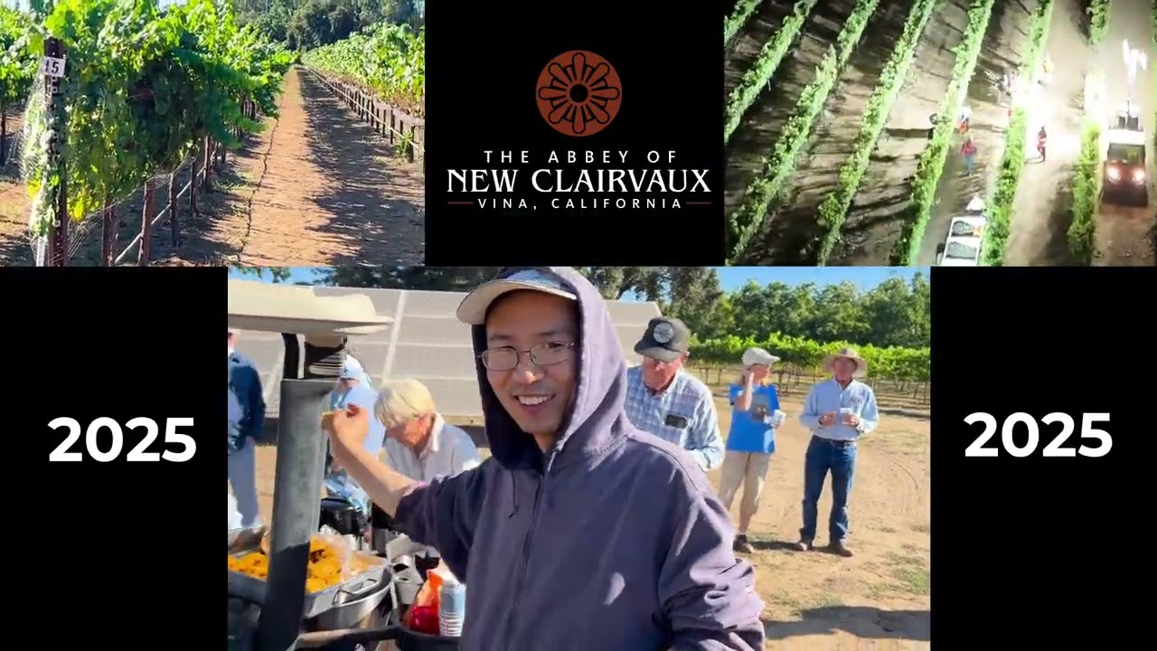 2025 Grape Harvest