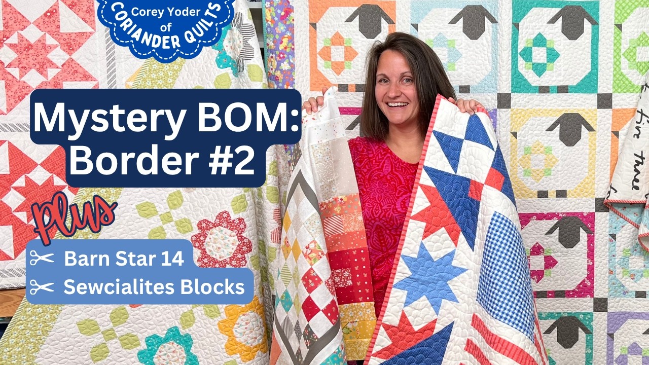 Mystery BOM: Border #2 plus a BRAND NEW Barn Star Quilt Pattern