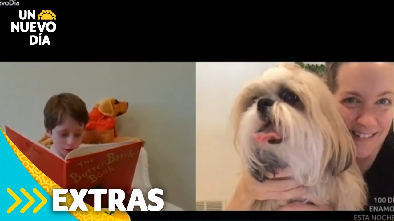 Niños le leen libros a los perros de servicios | Un Nuevo Día | Telemundo