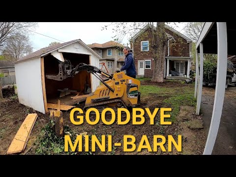 Complete Yard Clearing! Ivy, Fence, and Shed Removed by Schott Services