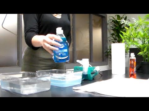 How to Clean Your Pari Vios Nebulizer