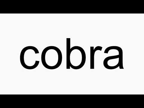 How to pronounce cobra