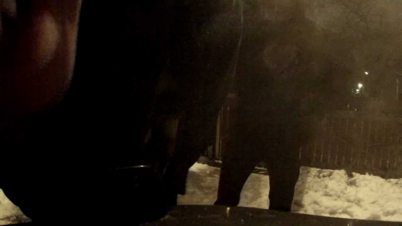 Epic drunk guy laughing like a horse