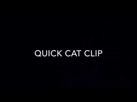 Quick Cat Clip