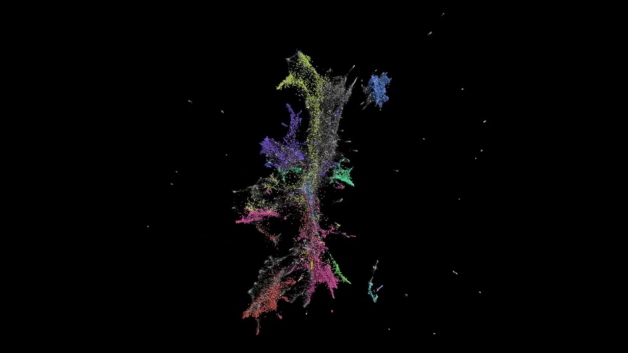 AI can reveal new cell biology just by looking at images