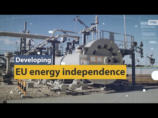 Five Essential Steps for EU Energy Independence | Galaxy
