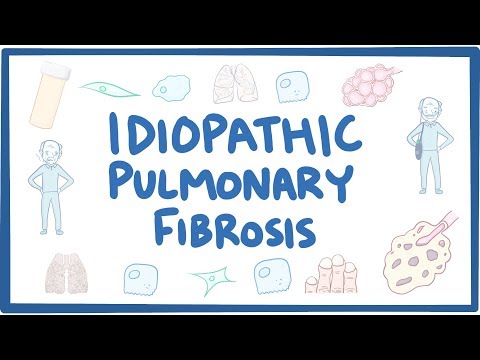 Idiopathic pulmonary fibrosis – causes, symptoms, diagnosis, treatment ...