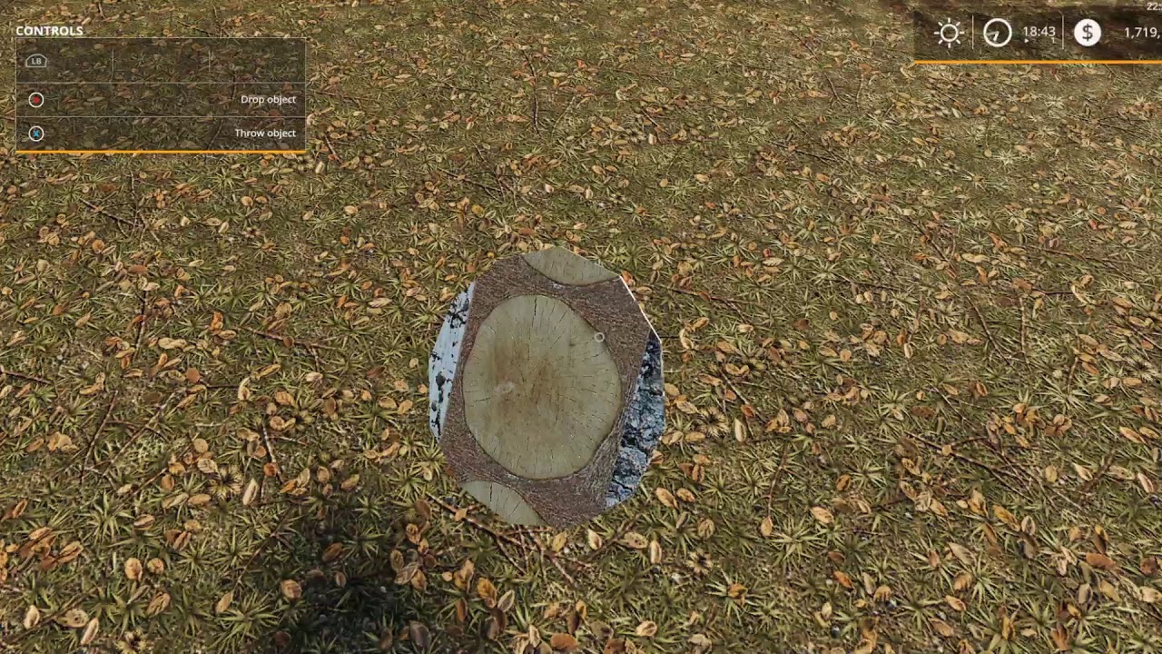 Logging In The Hollers - FS 19