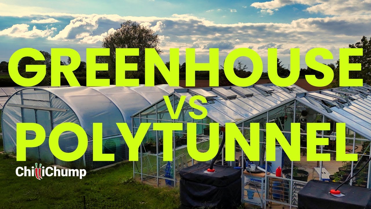 Greenhouse vs. Polytunnel: Which One is Right for You?